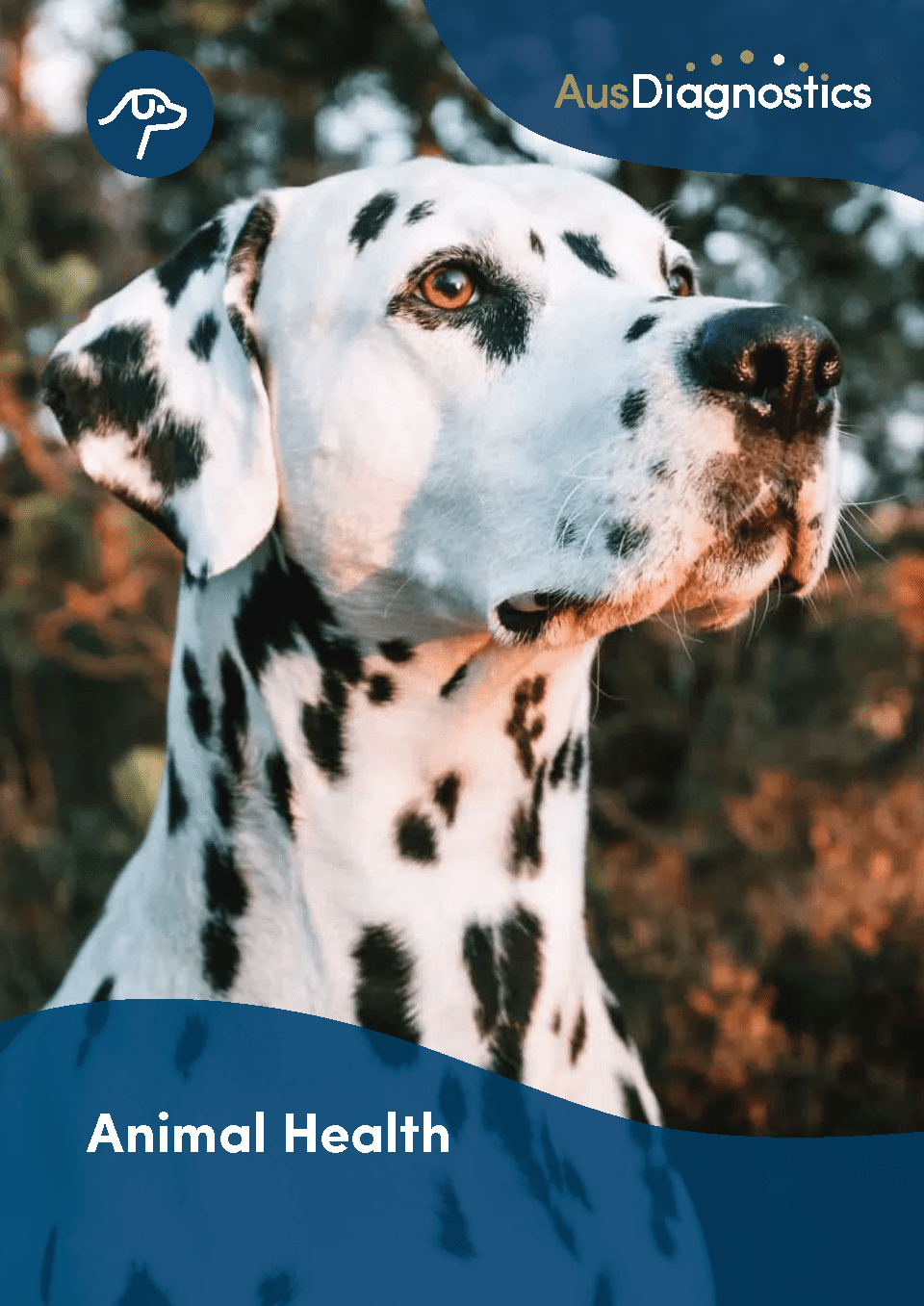 Animal Health - R-Biopharm